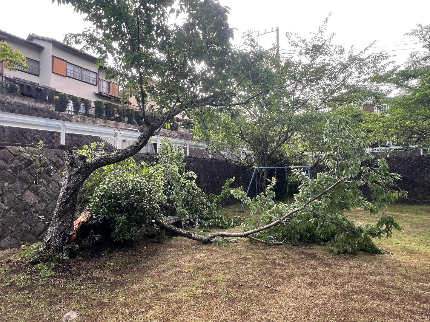 坂トレ ： 安田プロの「ツイてる！」日記‐静岡県伊東・沼津のゴルフスクール・ラウンドレッスン‐安田ゴルフアカデミー